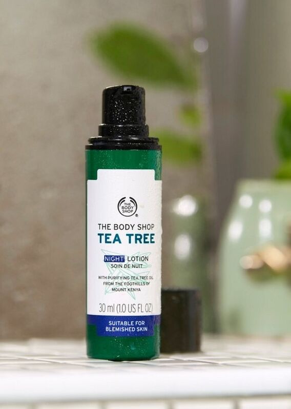 Night Creams | Aloe, Tea Tree & Vitamin E - The Body Shop South Africa